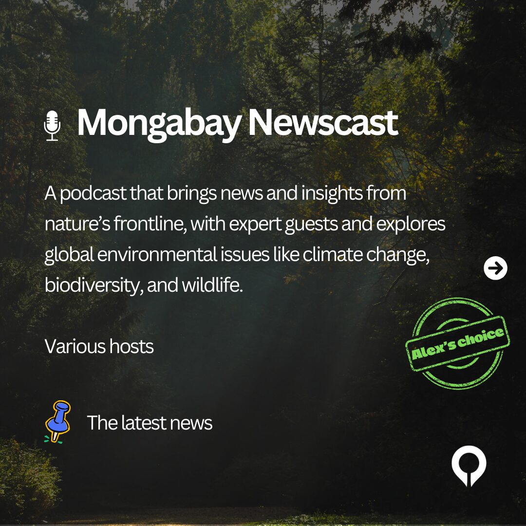 Top 12 Environmental Podcasts to follow in 2025: our team’s ...